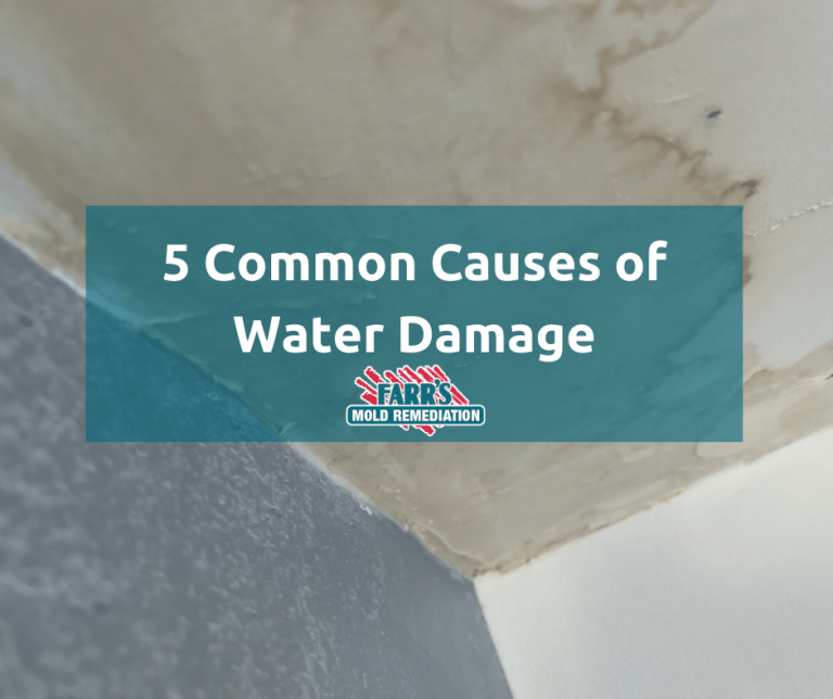 5 Common Causes of Water Damage| Farr's Mold Remediation