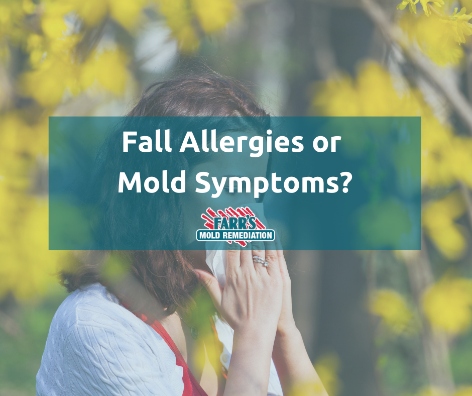 Mold & Home Improvement Resources | Farr's Mold Remediation